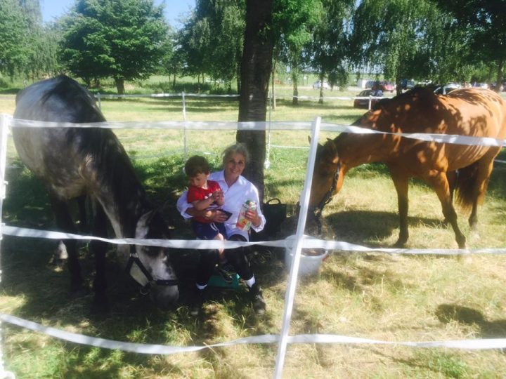 Masters du cheval ibérique au parc équestre francilien - Ecurie MGD
